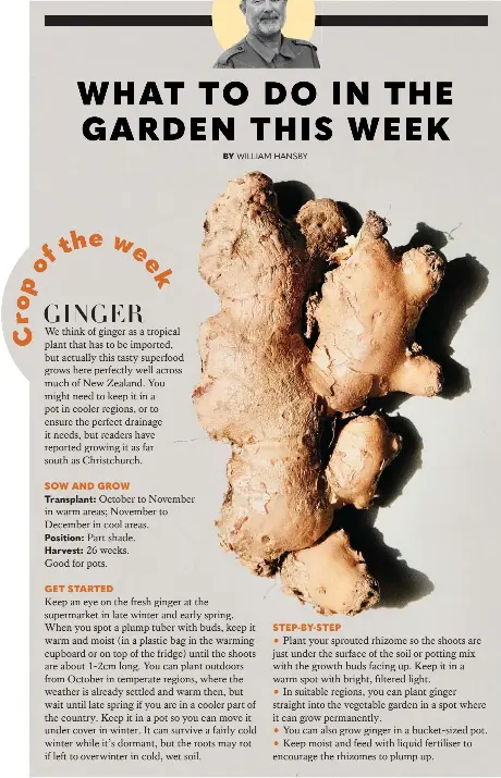 WHAT TO DO IN THE GARDEN THIS WEEK - PressReader