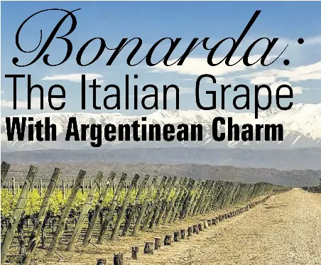 Bonarda: The Italian Grape - PressReader
