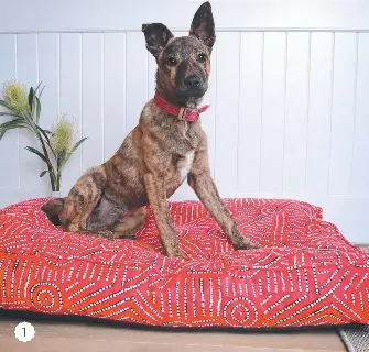 Puppy love - PressReader