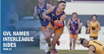 GVL NAMES INTERLEAGU­E SIDES - PressReader