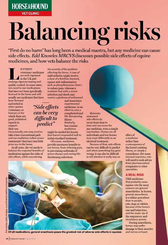 Balancing risks and benefits Side effects of equine medicine and weighing up the risk - PressReader