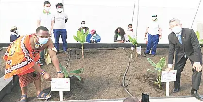 Taiwan Technical Mission launches fruit tree laboratory project ...