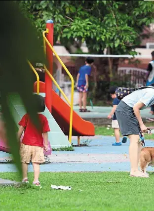 ‘Be good pet owners’ - PressReader