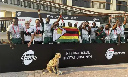 Dutch masters into World Cup quarter-finals as USA downed - PressReader