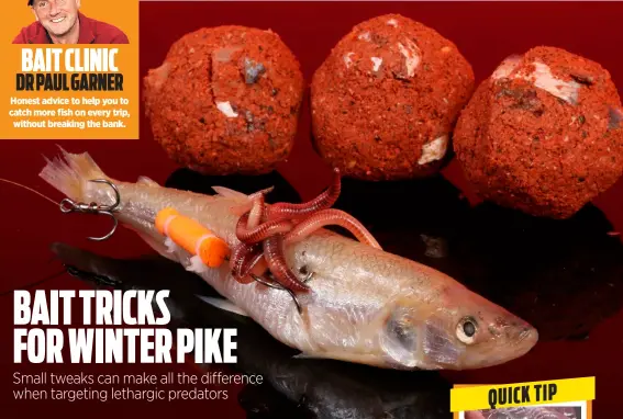 BAIT TRICKS FOR WINTER PIKE - PressReader