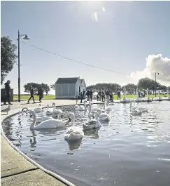 Local areas in need of a clean-up? - PressReader
