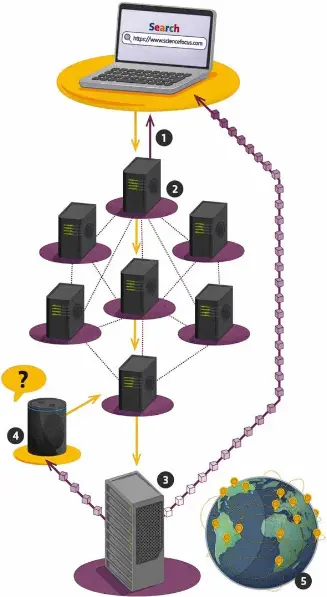 HOW DOES THE INTERNET ACTUALLY WORK? - PressReader