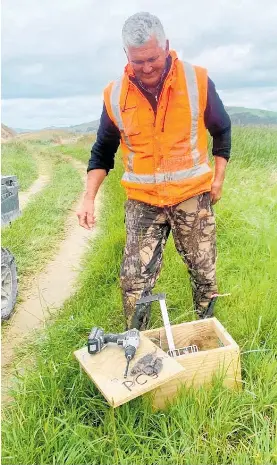 Rare bittern spotted twice in estuary - PressReader