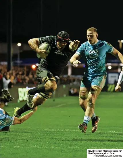 OSPREYS BREAK KNOCKOUT JINX - PressReader