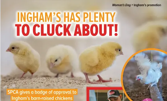 INGHAM’S HAS PLENTY TO CLUCK ABOUT! - PressReader
