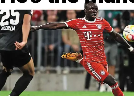 He’s the Mane man - PressReader