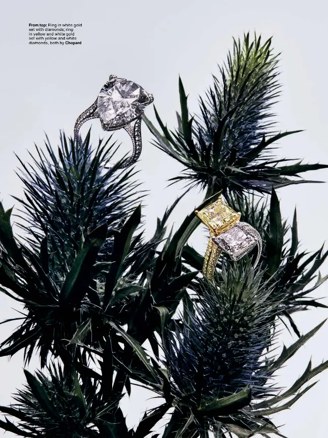 Looking Sharp - PressReader