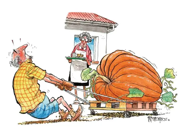 Die man en sy Pampoen - PressReader