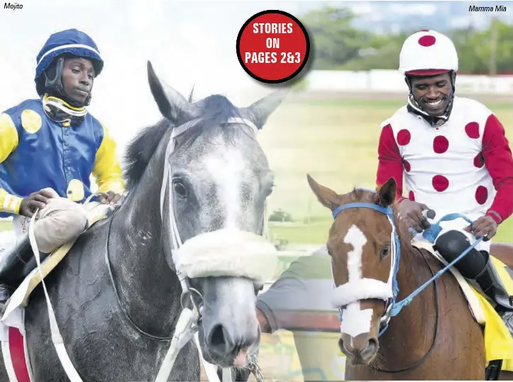 ‘Road to the Triple Crown’ continues with Thornbird, Prince Consort Stakes races - PressReader