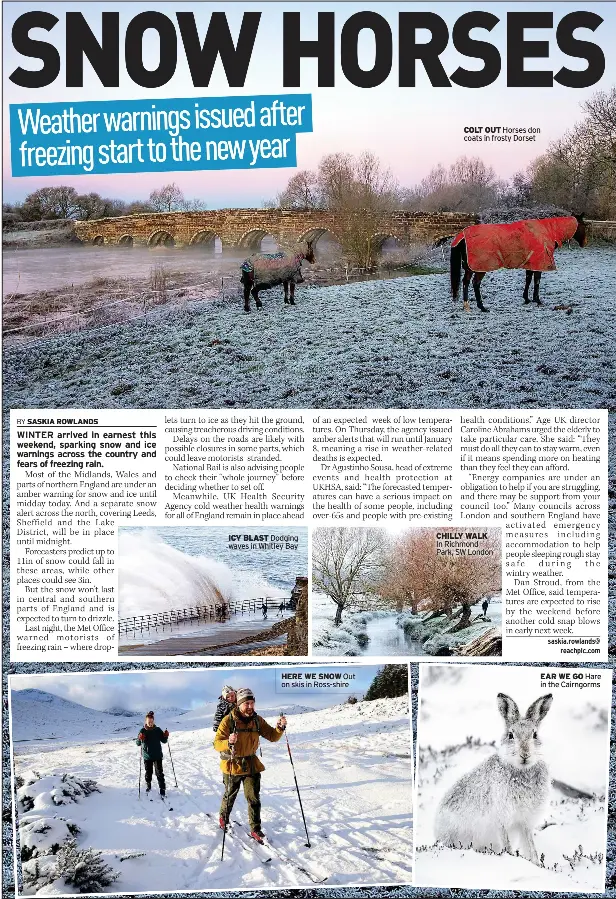 SNOW HORSES - PressReader