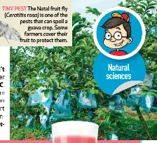 SOUTH AFRICA - PressReader