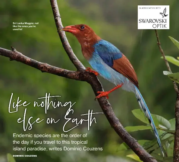 Like nothing else on Earth - PressReader