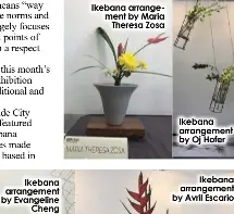 “Beyond Blooms” - PressReader