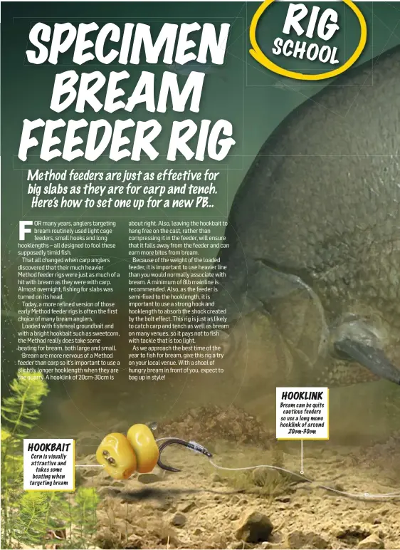 SPECIMEN BREAM FEEDER RIG - PressReader