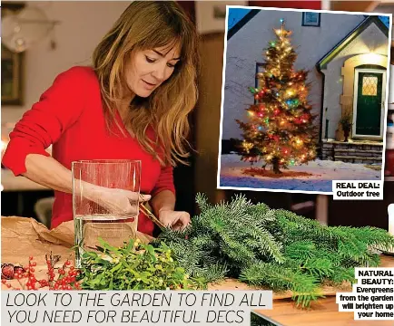 DIY festive foliage that’s a real snip - PressReader