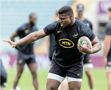 Springboks add five players to squad for Portugal Test - PressReader