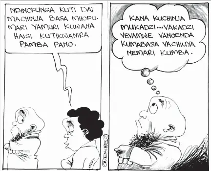 Zvinodhaka yava njodzi kunyika - PressReader