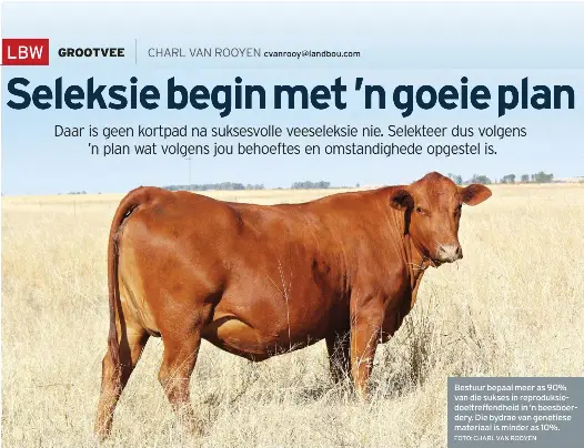 Grootvee: Seleksie begin met ’n goeie plan - PressReader