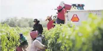 Con la soberanía alimentari­a en agenda - PressReader
