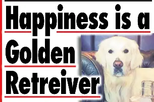 JUSTIN DUNN’S ROOM 101 Happiness is a Golden Retreiver - PressReader