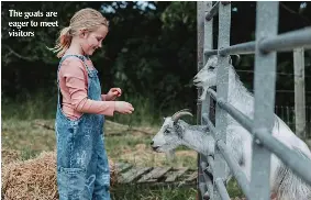 Farm Friends - PressReader