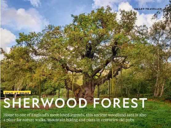 SHERWOOD FOREST - PressReader