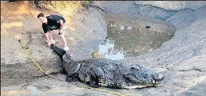 Searching for the world’s largest Nile crocodile - PressReader