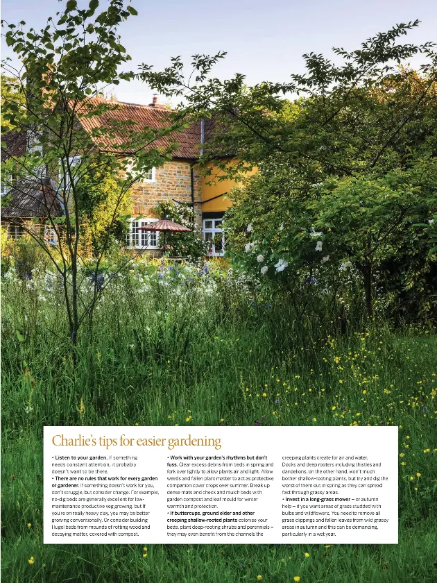 Charlie’s tips for easier gardening - PressReader