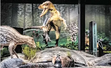 Edelman Fossil Park & Museum springs to life - PressReader