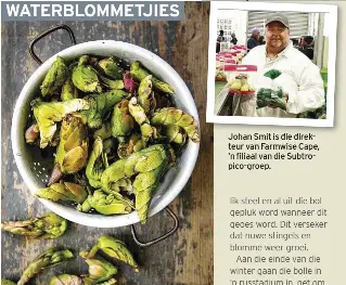 JOHAN SMIT - PressReader