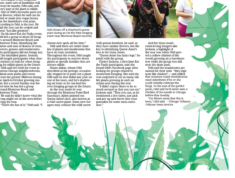 Eating the parks - PressReader