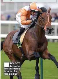 ODDS & SODS - PressReader