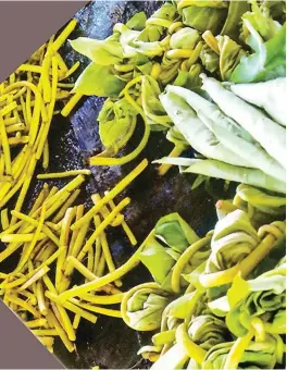 GABI: AN INDIGENOUS VEGETABLE OF THE PHILIPPINE­S - PressReader