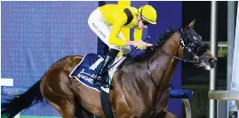 Al Maktoum Mile tops Meydan card - PressReader