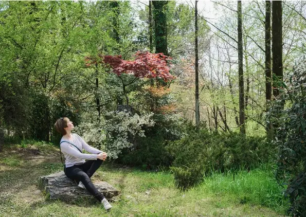 Forest Bathing - PressReader