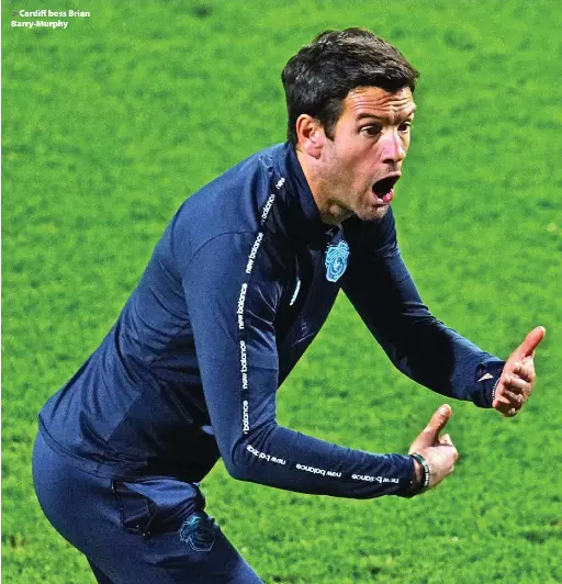 Bluebirds upping the intensity as they look to get back on track - PressReader