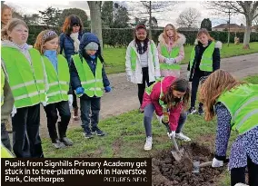 Branching out to improve resort - PressReader