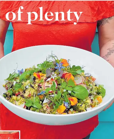 Land of plenty - PressReader