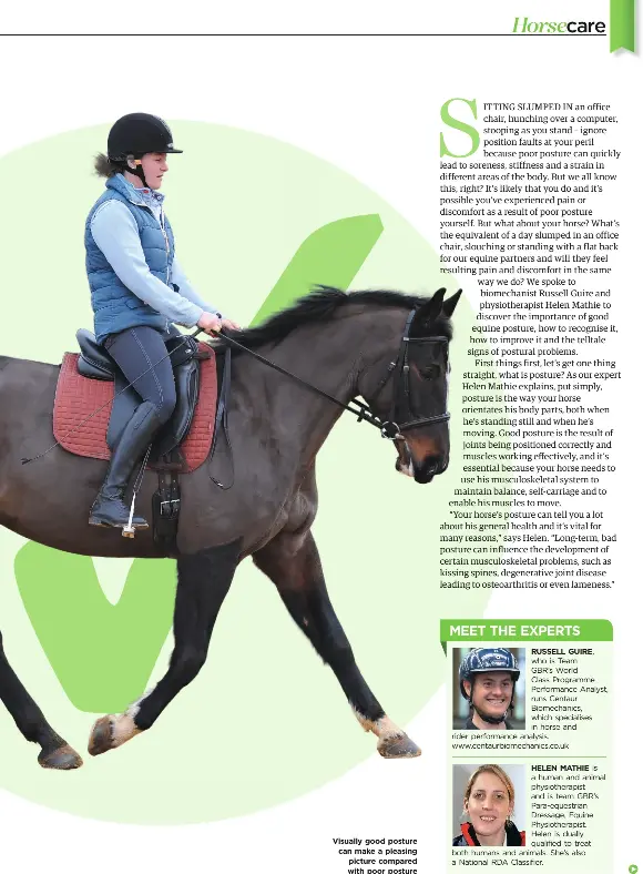 Equine posture - PressReader