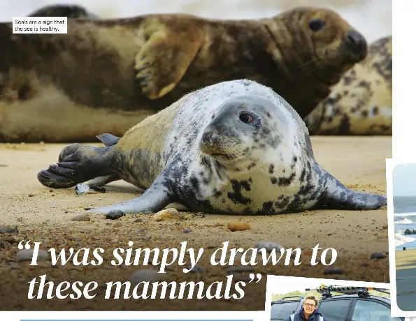 “I was simply drawn to these mammals” - PressReader