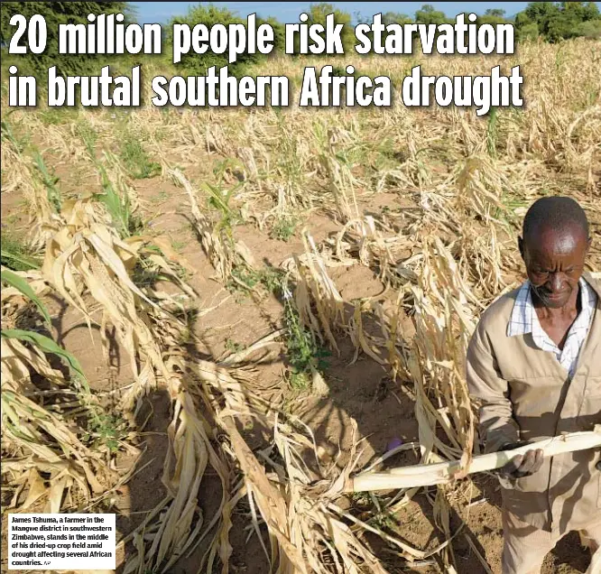 20 million people risk starvation in brutal southern Africa drought - PressReader