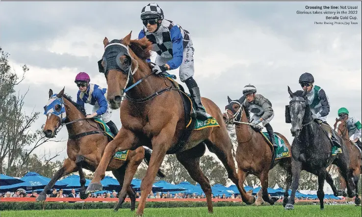 Tom’s stake in cup - PressReader