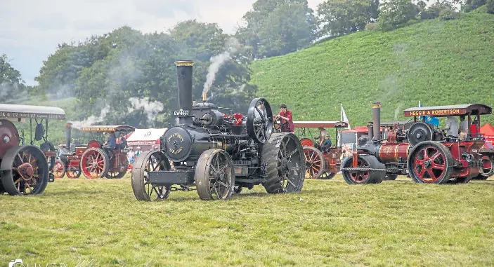 Ticket prices on hold for this year's Sussex Steam Rally - PressReader