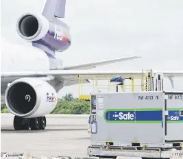 FedEx Express estrena área fría en el LMM - PressReader