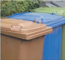 Festive period bin collection­s - PressReader